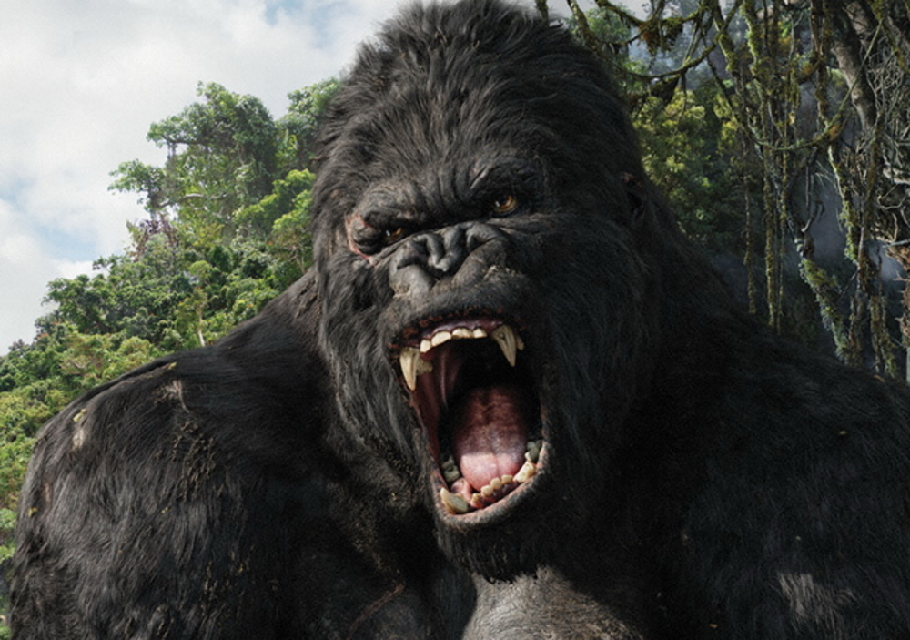 킹콩, 위대한 고릴라 제왕의 연대기